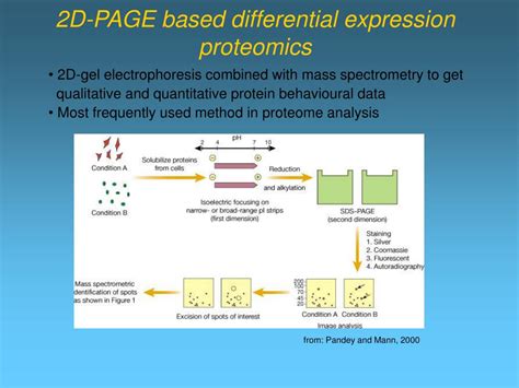 Ppt Proteomics Powerpoint Presentation Free Download Id 3506848