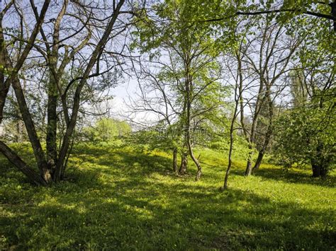 Panorama Of South Park In City Of Sofia Bulgaria Stock Image Image