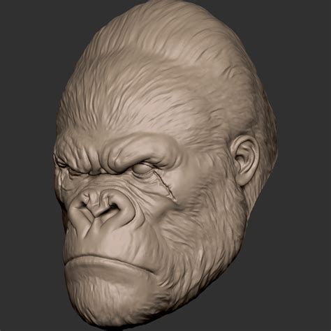 🤴 King Kong Custom Action Figure Head・ Obj File For 3d Printing・cults
