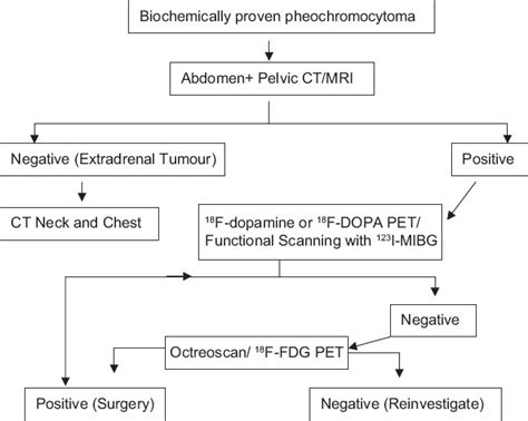 Algorithm For The Localization Of Pheochromocytoma Download