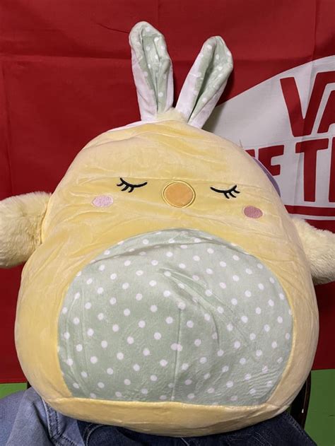 Won This Fella At Round 1 Today 😊 🐦 Rsquishmallow