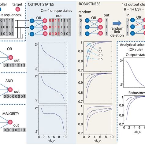 mathematical model of the number and robustness of output states in a