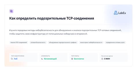 Как определить подозрительные Tcp соединения Labex