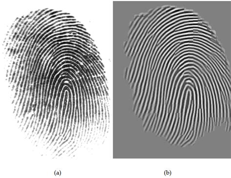 fingerprint recognition intechopen