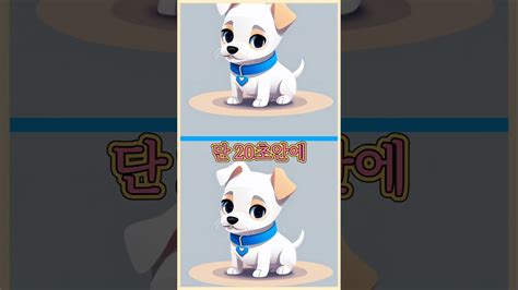 다 찾으면 당신은 천재 Youtube