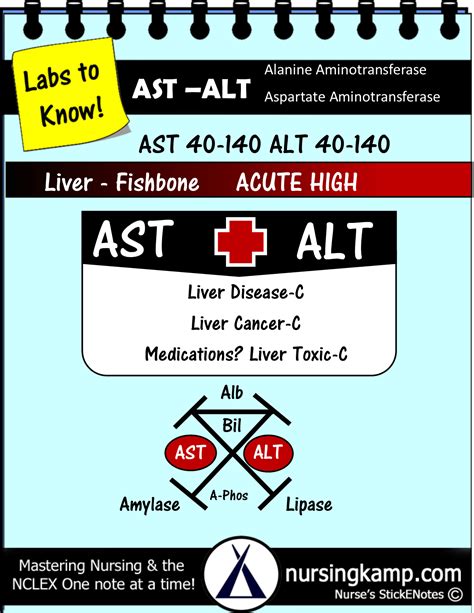 Lab Values Ast Alt Comprehensive Guide To AST And ALT Lab Values Understanding Normal Ranges