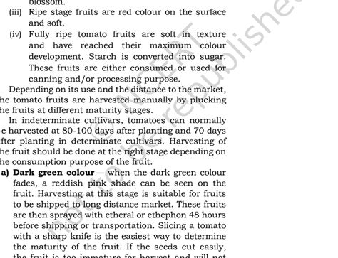 3 Maturity Stages Of Tomato Download Scientific Diagram