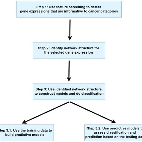 Summary Of Key Steps For The Proposed Classification Method Via Download Scientific Diagram