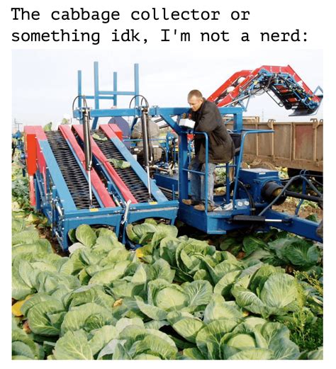 Why Do Programmers Need So Much Cabbage Rprogrammerhumor