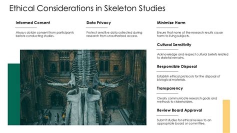 Skeleton Evolution Ppt Template Acp Ppt Example