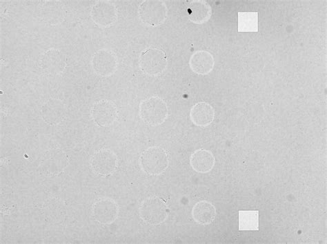Spots And Reference Detection Object Detection Dataset And Pre Trained Model By Iris Automatic