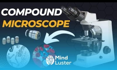 Compound Microscope Parts And Functions Mind Luster