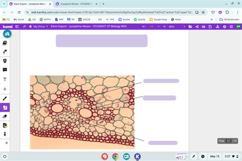 Diagram 15 Diagram Quizlet