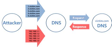 케세라세라 snort 분석 dns excessive outbound nxdomain replies