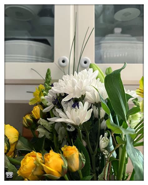 “muppet Bouquet” Toronto Digital Tech And Photo Assistant