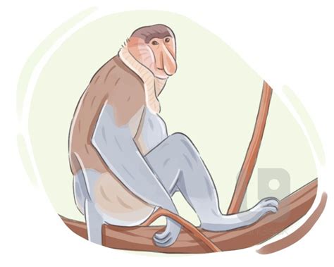 Definition And Meaning Of Proboscis Monkey Langeek