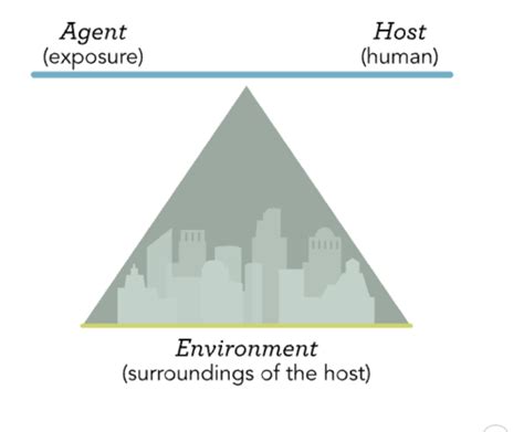 Epidemiology Flashcards Quizlet