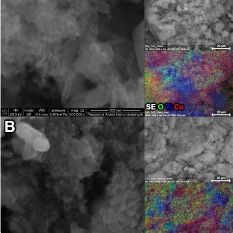 Sem Micrographs Magnification 500 000× And Sem Eds Elemental Maps