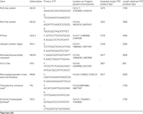 Sequences Of Primers For Gene Fragment Isolation And PCR Results
