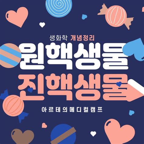 원핵생물과 진핵생물 원핵세포와 진핵세포 세포소기관의 종류와 기능 네이버 블로그