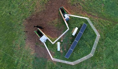 Grazing Cattle Tested Seaweed Cuts Methane Emissions By ~40