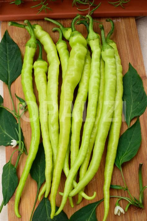 Seminte Ardei Iuti Seminte1