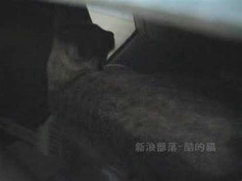 廁所偷拍 影片 YouTube