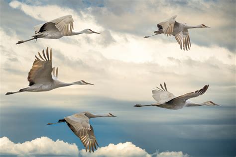 Migrating Next Js Image Domains To Remote Patterns Tim Santeford