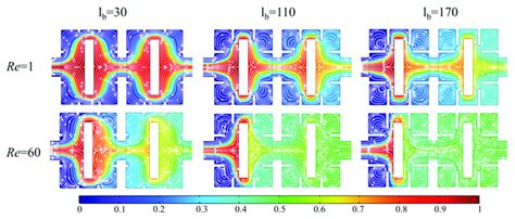 Concentration Distribution And Velocity Streamlines Of The Fluid In The