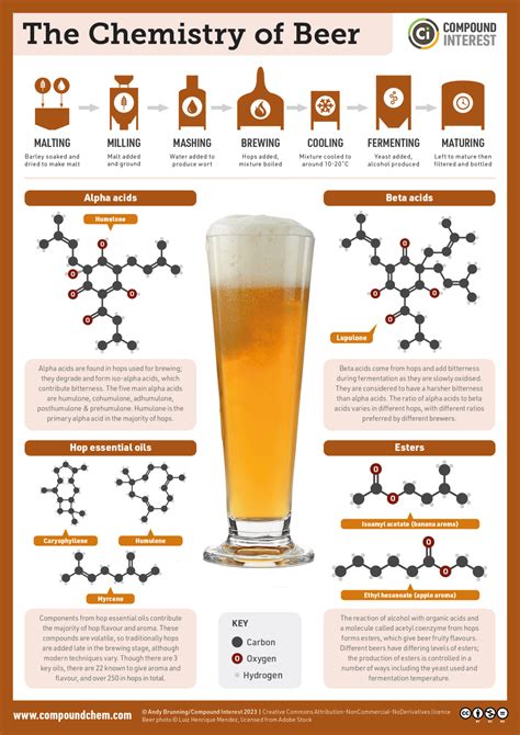 Compound Interest What Gives Beer Its Bitterness And Flavour