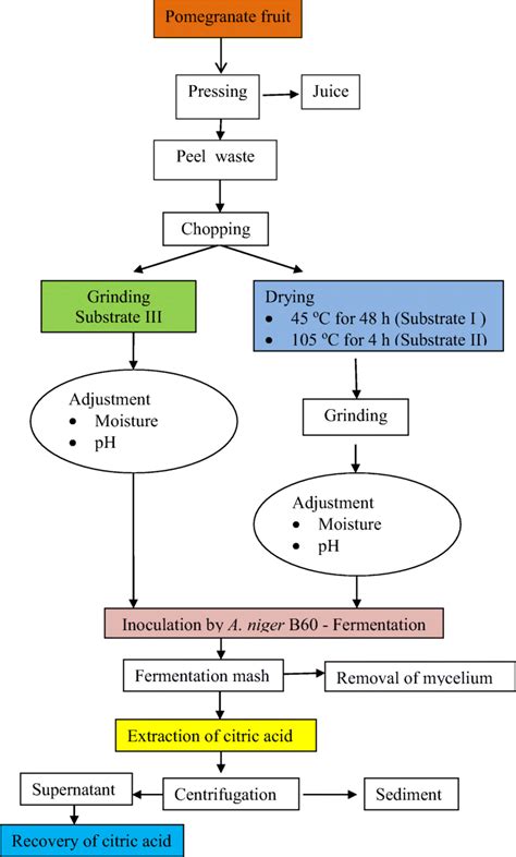 Integrated Process For The Production Of Citric Acid From Pomegranate Download Scientific