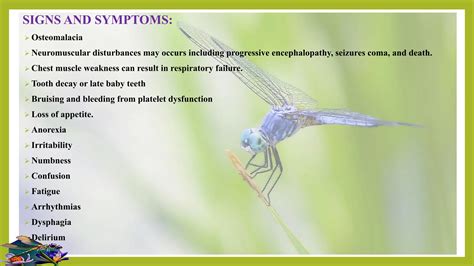 Phosphate Electrolyte Imbalance Hypophosphatemia And Hyperphosphatemia Pdf