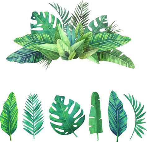 پس زمینه برگ و گل های جنگلی استوایی طراحی پوستر گرمسیری رنگارنگ برگهای عجیب و غریب گل ها گیاهان