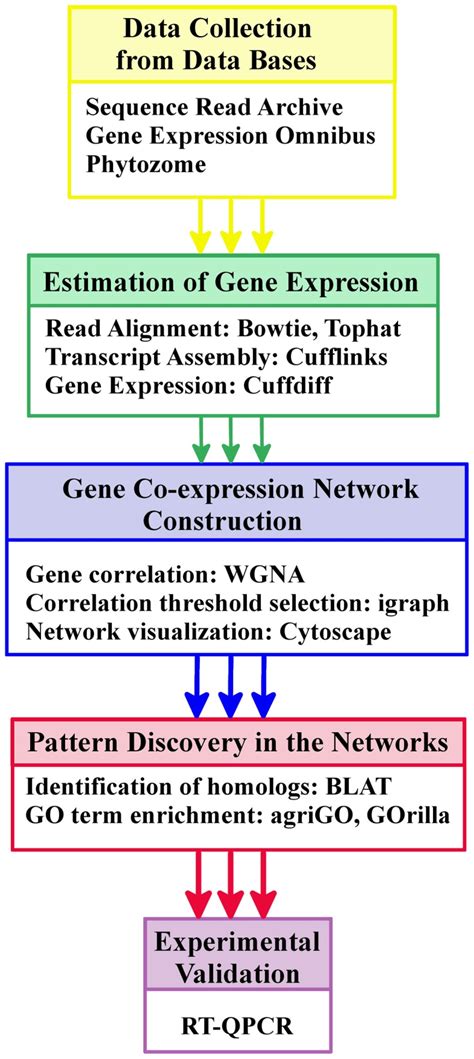 Schematic Workflow Including Data Collection And Processing As Well As Download Scientific