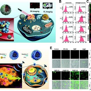 Examples Of Mitochondriatargeting Nanomaterials That Manipulate And Download Scientific