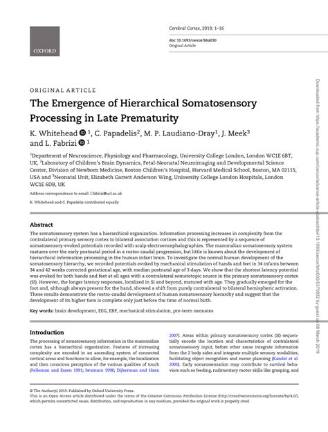 Pdf The Emergence Of Hierarchical Somatosensory Processing In Late