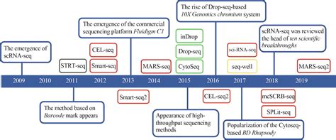 Single Cell RNA Sequencing ScRNA Seq Its Role In Understanding