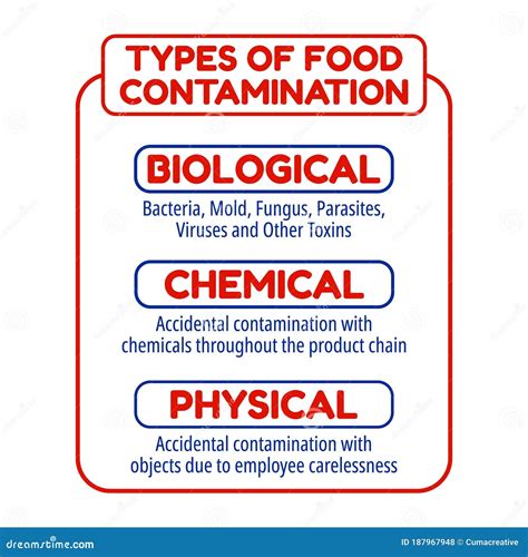 Types Of Food Contamination Food Safety Display Boards Stock Vector Illustration Of Recycled