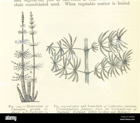 An Intermediate Level Geology Textbook Based On Foundational Texts Focusing On The Earths