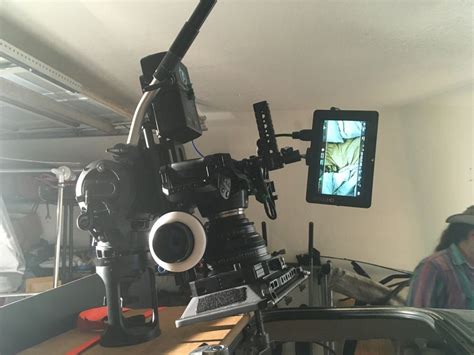 Explore The World Of ‘bug Man With This Emmy Winning Filmmaker