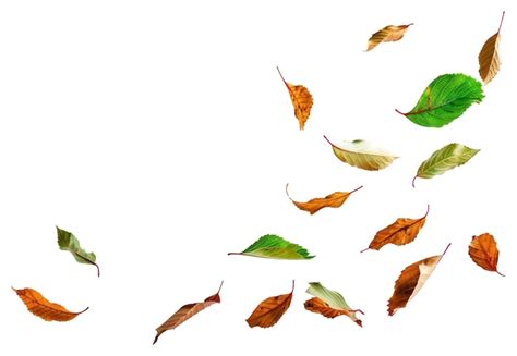 ПНГ красочные осенние листья грациозно плавают Премиум Ai сгенерированное изображение