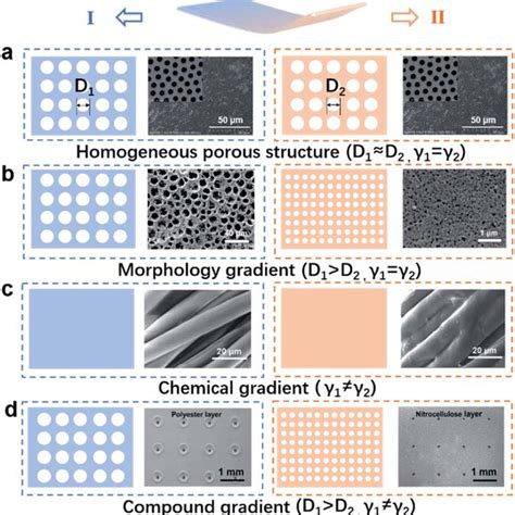 Models And Examples Of Monolayered Porous Membranes With Different