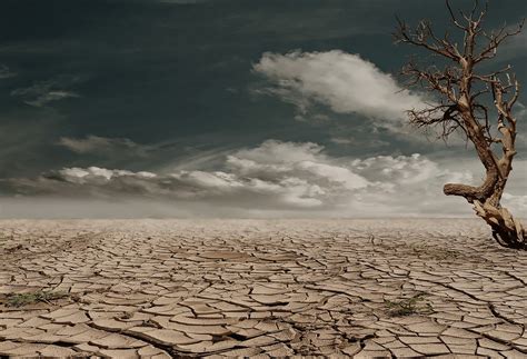 Dry Farmland