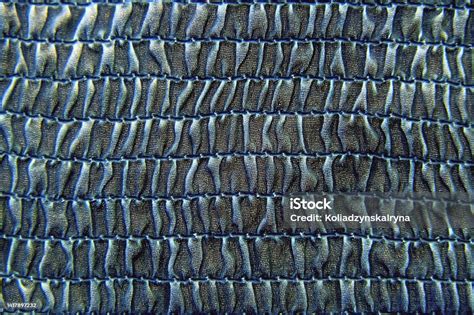 주름 주름을 잡은 직물 패턴 배경에 대 한 완벽 한 텍스처 패브릭 질감 및 감정에 대한 스톡 사진 및 기타 이미지 감정 공단 드레스 Istock