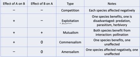 Biol 2050 Lecture 9 Species Interactions And Population Growth
