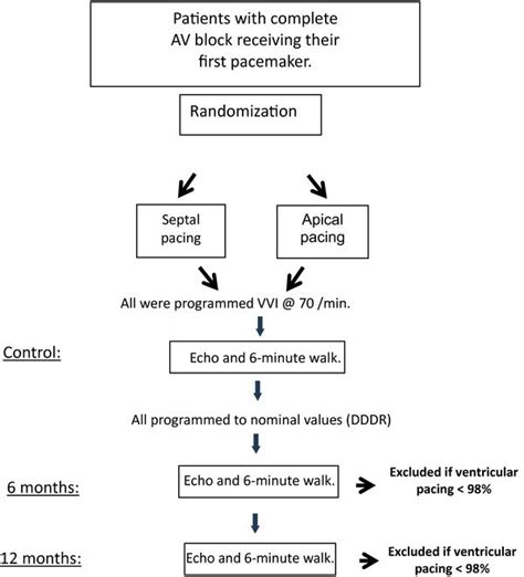 Study Flow Chart AV Atrioventricular Echo Echocardiogram