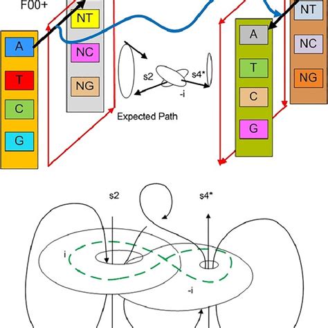 A The Itd Imf Chain 1 5 Of The Chern‐simons Current In The Download Scientific Diagram