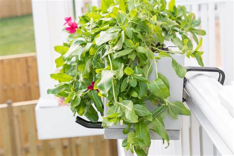 Deck Railing Planter Box Kreg Tool