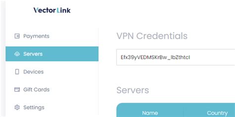 Vector Link Windows Openvpn 手动配置教程