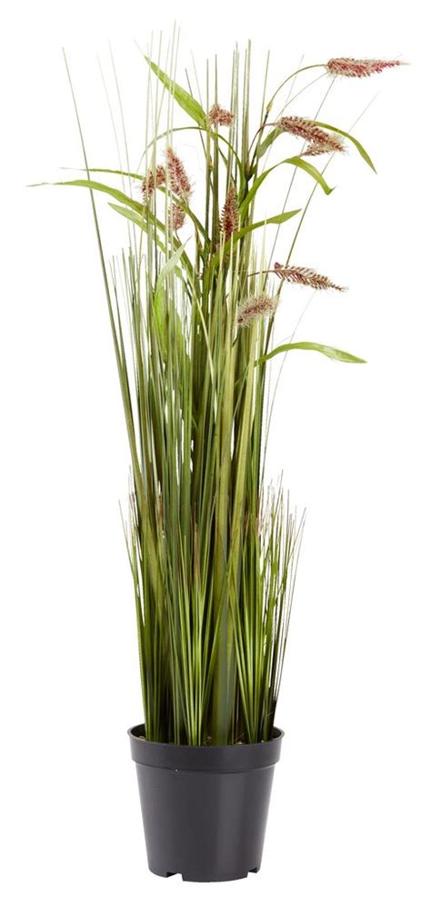 დეკორატიული ყვავილი ქოთანში Godske Ø18x75სმ Jysk